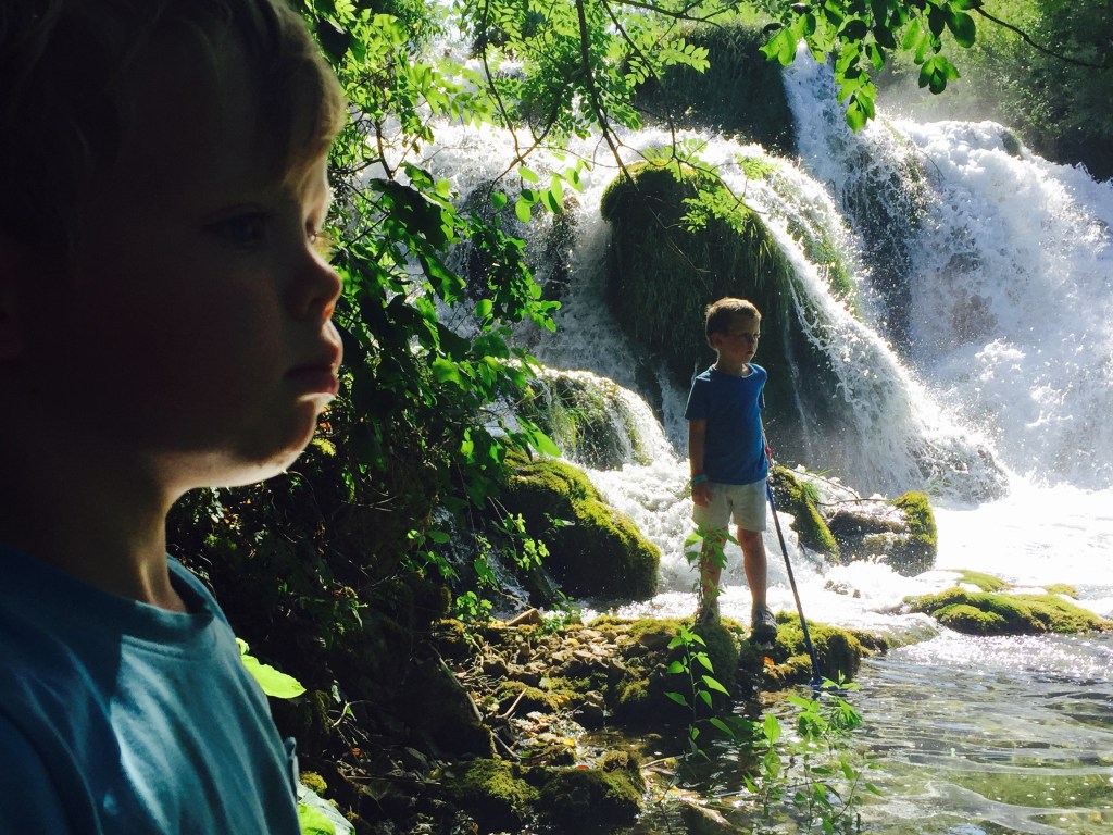 Merica | The Naked Hedgie